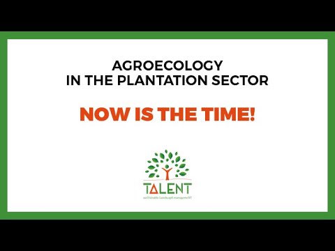 Agroecology in the plantation sector - Now is the time! - YouTube