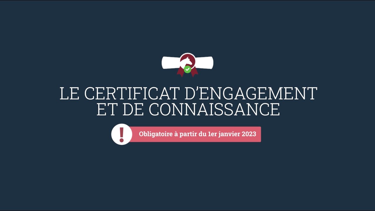 Le Certificat d'Engagement et de Connaissance - YouTube