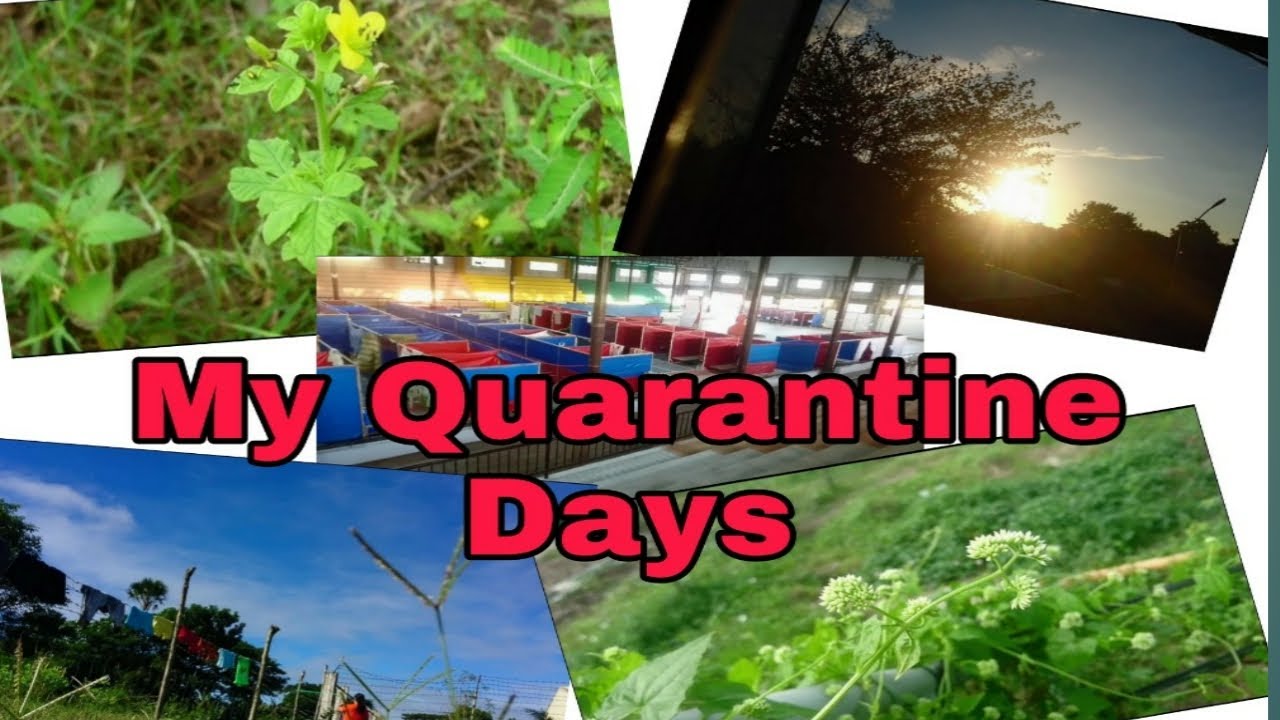 My Quarantine Days - YouTube