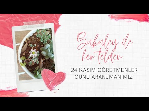 24 Kasım Öğretmenle Günü Aranjman Hediyemiz