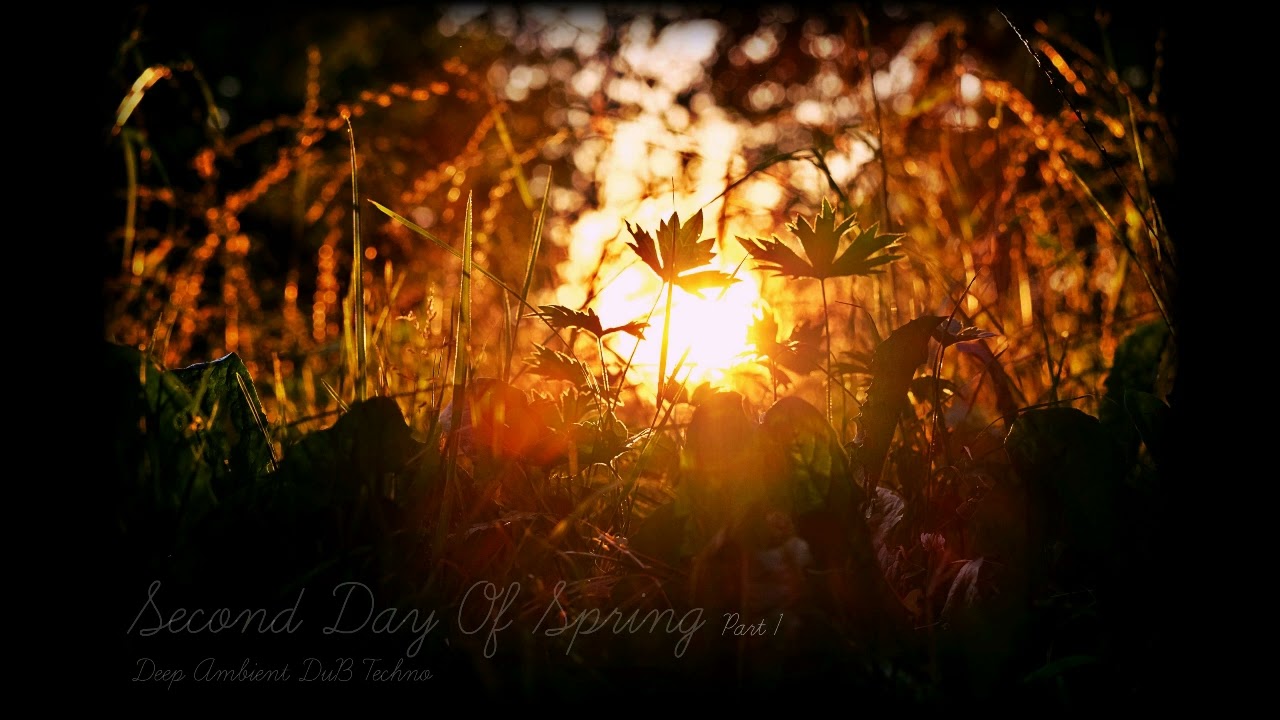 Liquid Fraction - Second Day Of Spring DuB - Part 1 - Deep Ambient DuB ...