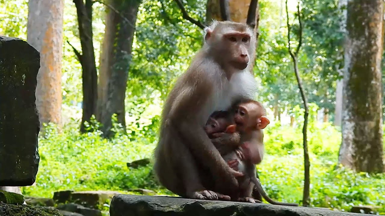 so sad Angela is crying baby jealous Rainbow Angela wants hugs Rainbow ...