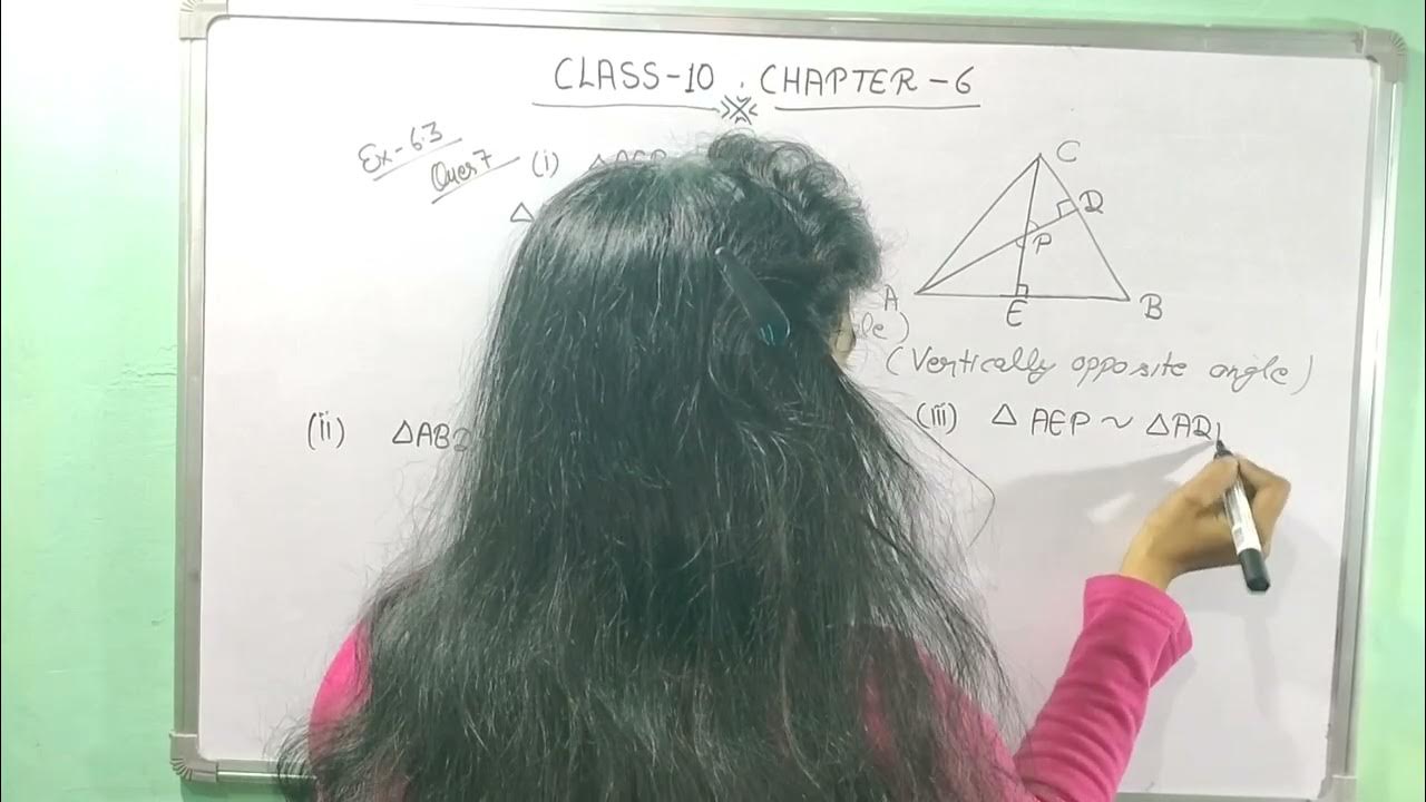 Triangle | Triangle Full Chapter/Tricks/Concept/Formula/Pythagoras Theorem | Triangle Class 10 ...
