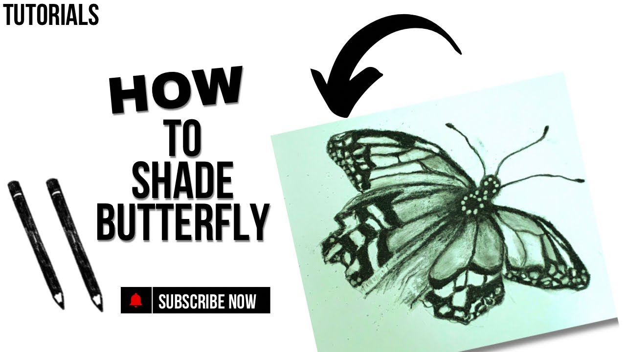 How To Shade A Hyper-Realistic Butterfly(Step by steps tutorials) - YouTube