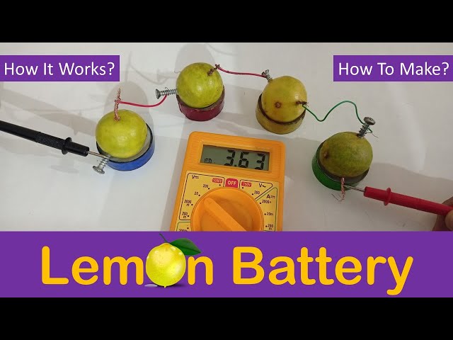 Citrus Battery Science Fair Project Lemon Battery Experiment Teach