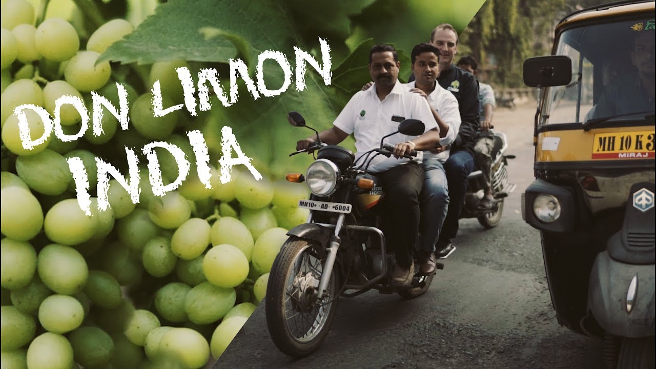 DON LIMON - India // Main Spot - YouTube