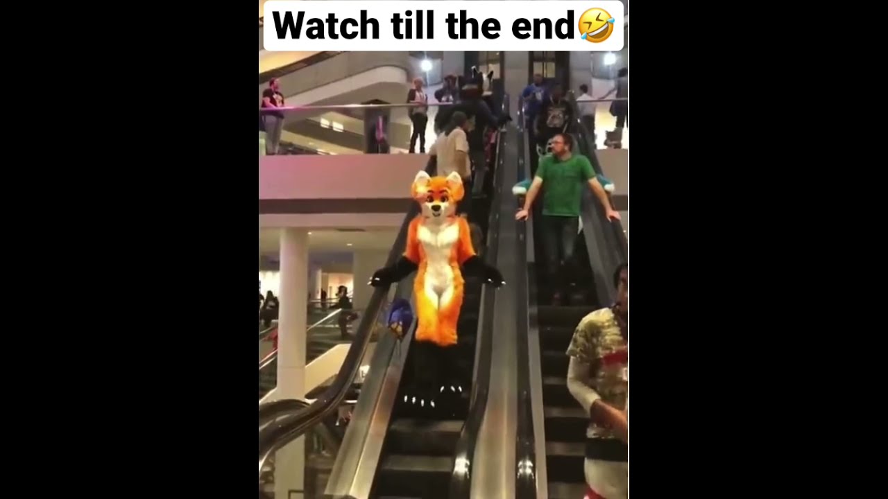 The furry slayer - YouTube