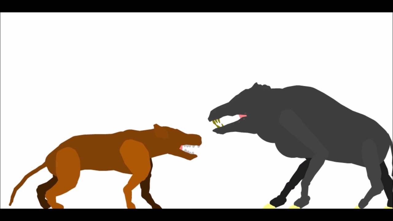 Entelodont Vs Hyaenodon