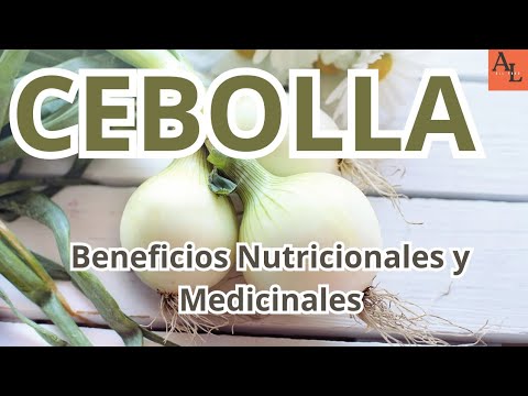 Beneficios Nutricionales y Medicinales de la Cebolla - YouTube