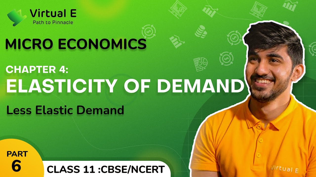 Class 11 Microeconomics Ch 4 | Elasticity of Demand | 6 - Less Elastic ...