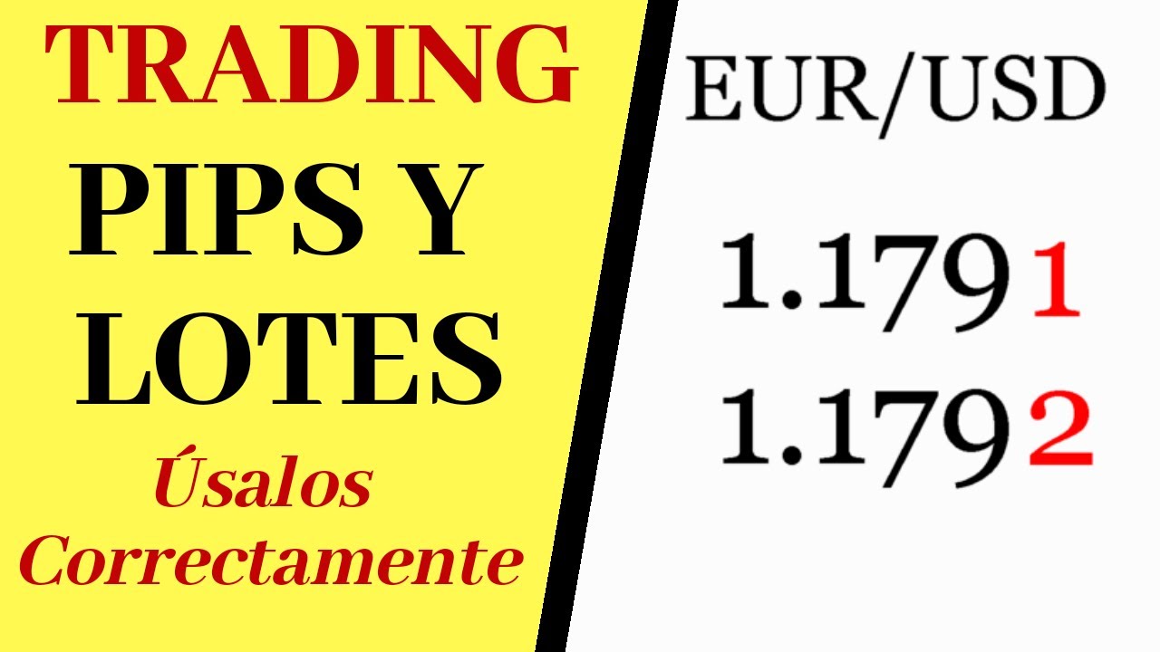CURSO DE TRADING PARA PRINCIPIANTES #4 ¿QUÉ SON LOS PIPS Y LOTES Y COMO ...