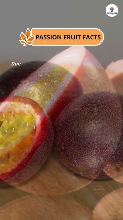 Passion Fruit Facts #shorts #facts #passionfruit - YouTube