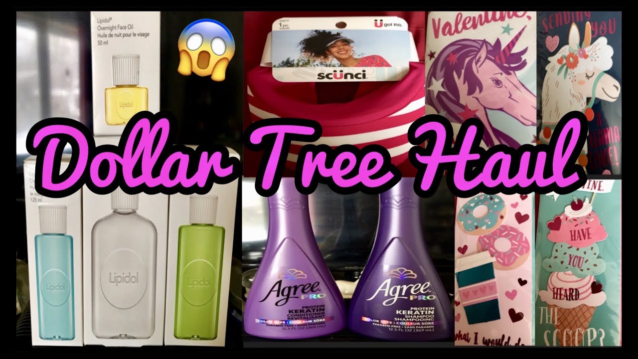 BIG DOLLAR TREE HAUL | ALL NEW AMAZING FINDS LIPIDOL PRODUCTS 😱 | JAN ...