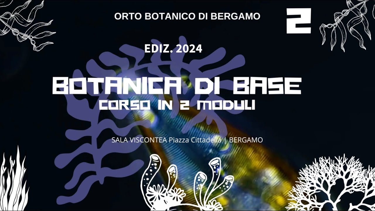 8 feb. 2024 ⎜2° incontro⎜Scopri i Segreti delle Alghe con il Prof ...