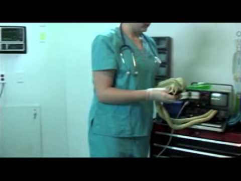 911Biomed – Beckys Herzstillstand
