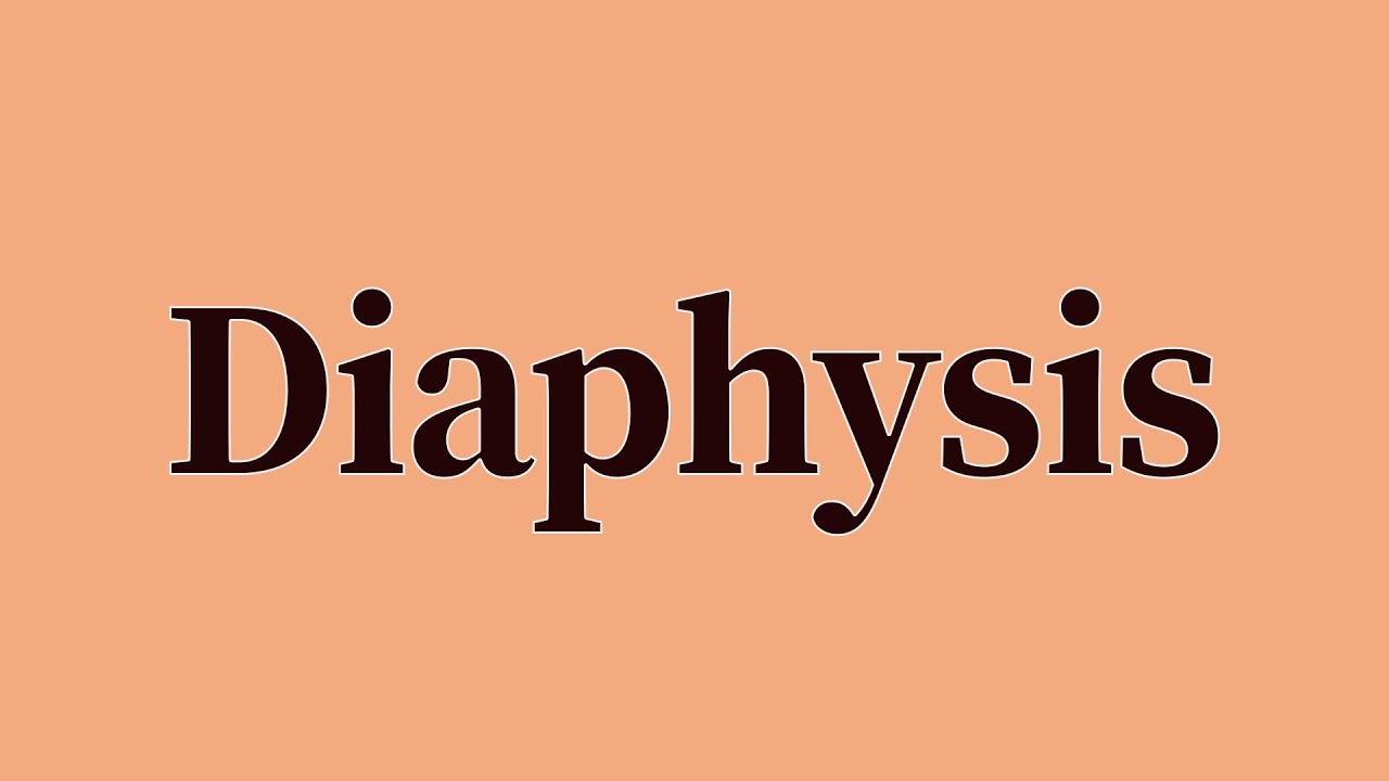 Diaphysis Pronunciation and Meaning - YouTube