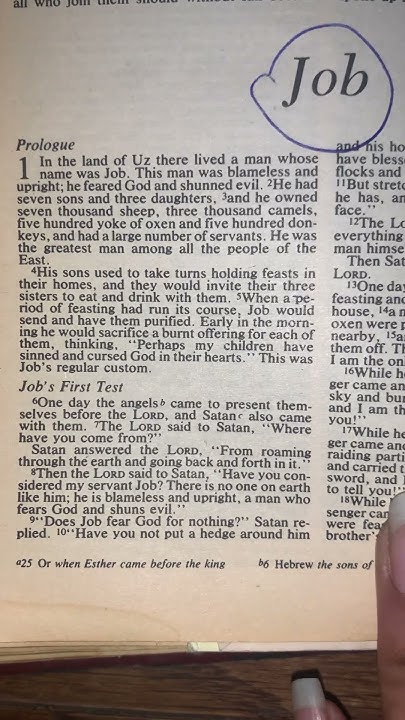 Let’s Read Together ️ Holy Bible page 282 Book of Job | NIV | Pause to Read ️ - YouTube