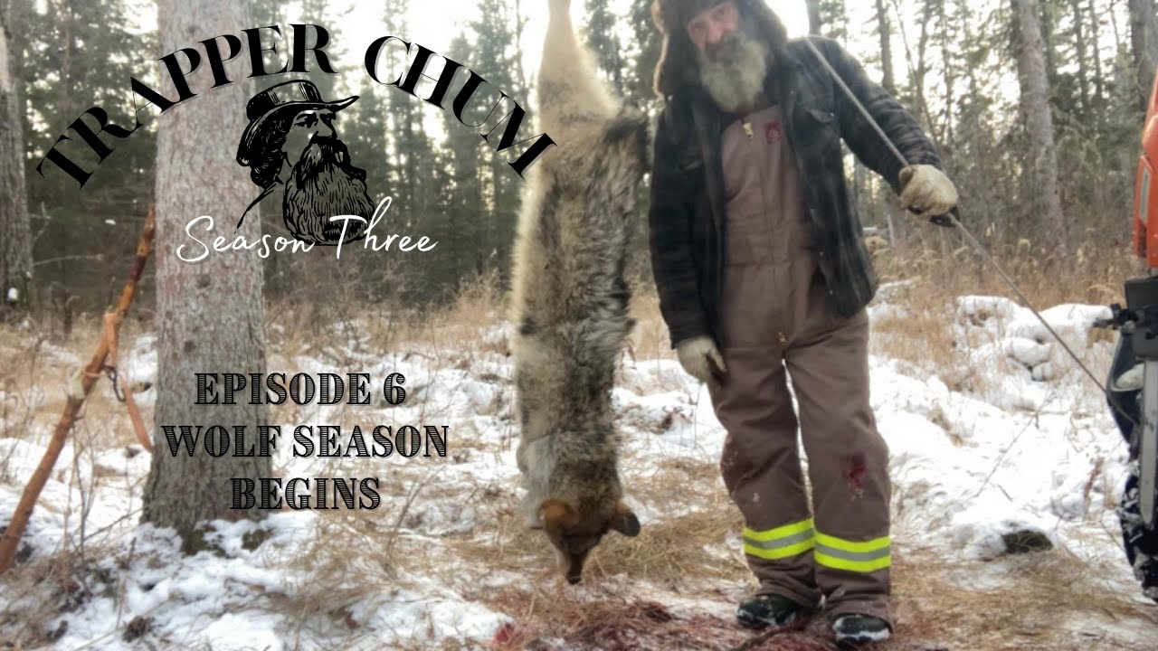 SEASON THREE: Episode 6 Wolf Season Starts! - YouTube