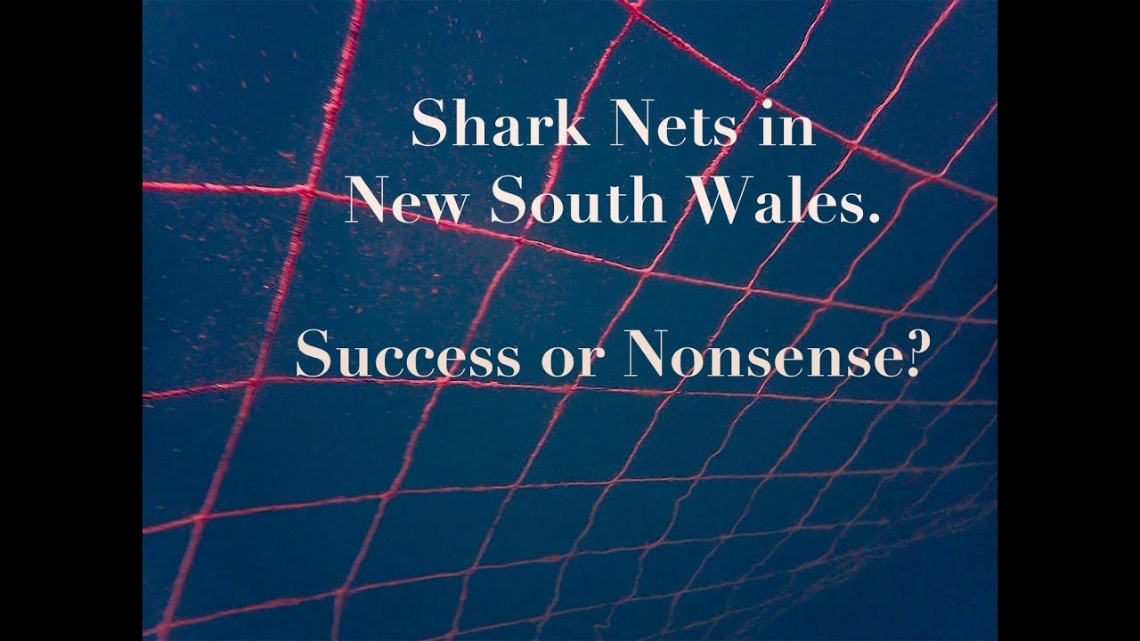 Shark meshing nets report 2023. New South Wales. - YouTube