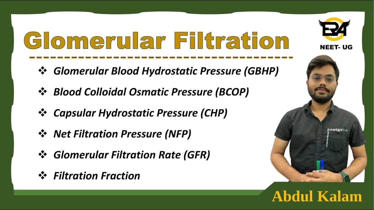 Filtration Fraction Prismax at Indiana Mulquin blog Filtration Fraction Prismax at Indiana Mulquin blog