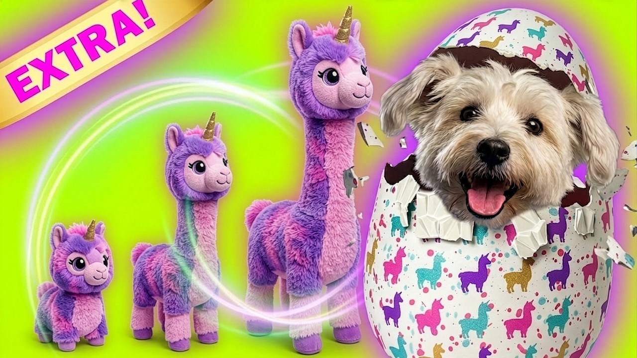 Dog unboxes a Hatchimals WOW Llalacorn (in 4K) - YouTube
