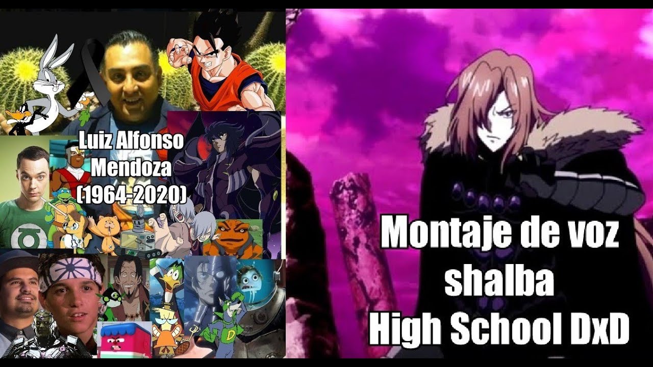 Shalba HS DXD Montaje español latino - YouTube