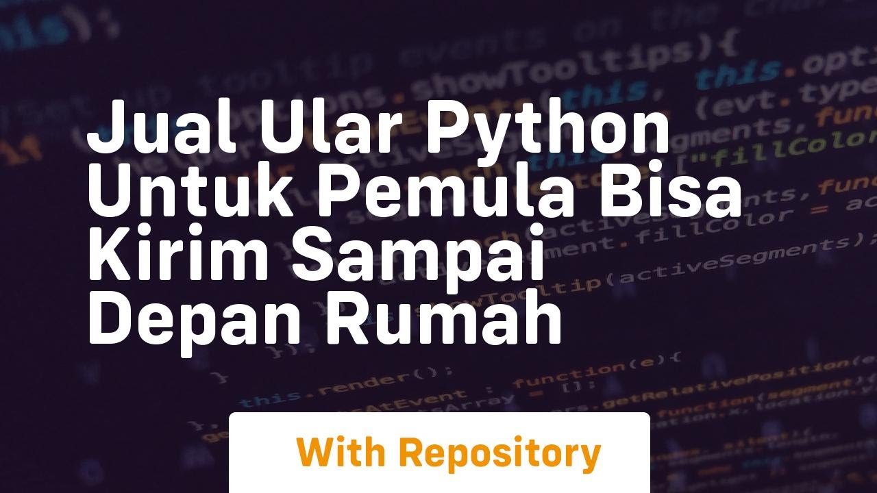 Jual ular python untuk pemula bisa kirim sampai depan rumah - YouTube