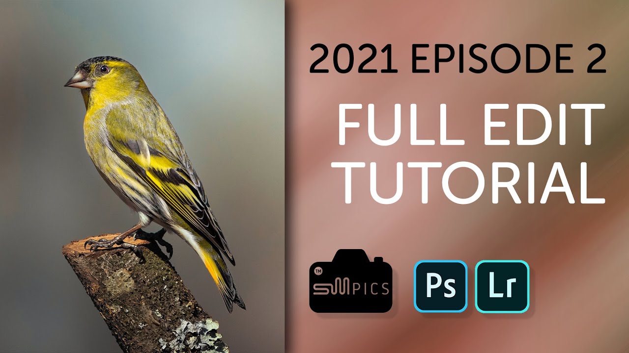 Full Bird Photography Edit Tutorial - Episode 2 - 2021 - YouTube