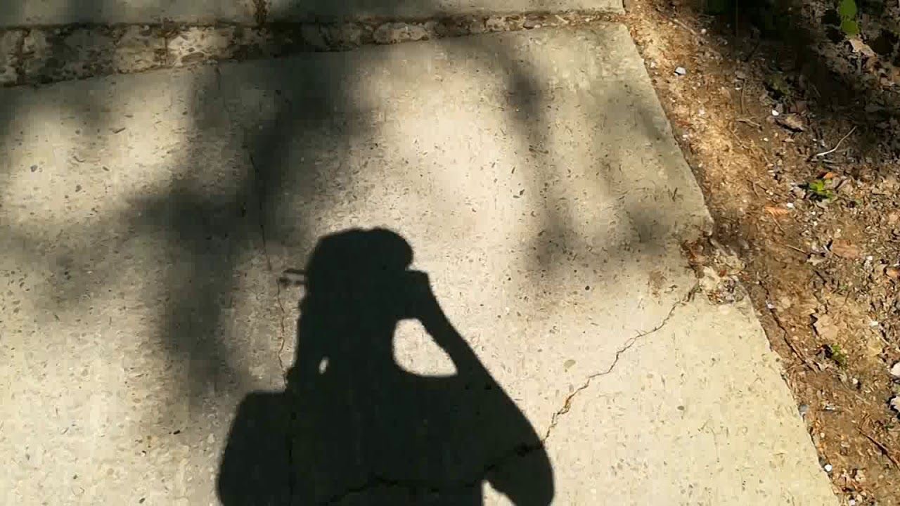 BUTKOV LADCE 2018 - YouTube