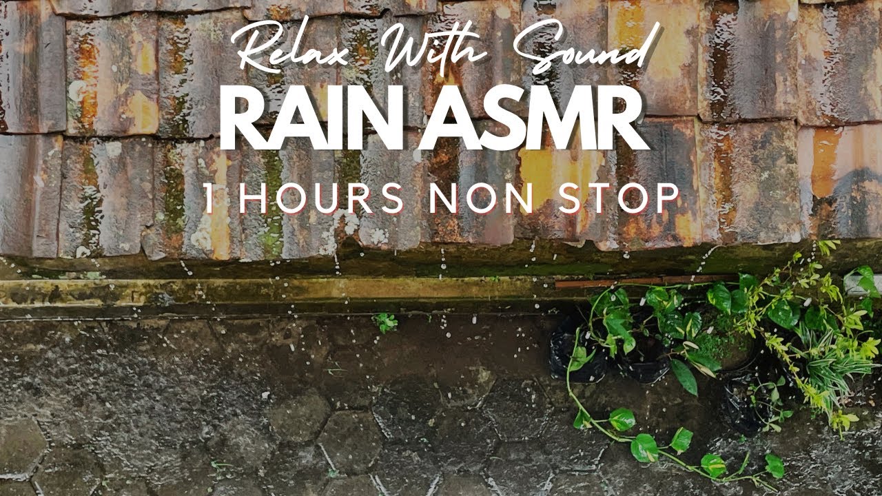 1 Hours : The Sound of Rain Meditation, , Deep Sleep,Relaxing Sounds ...