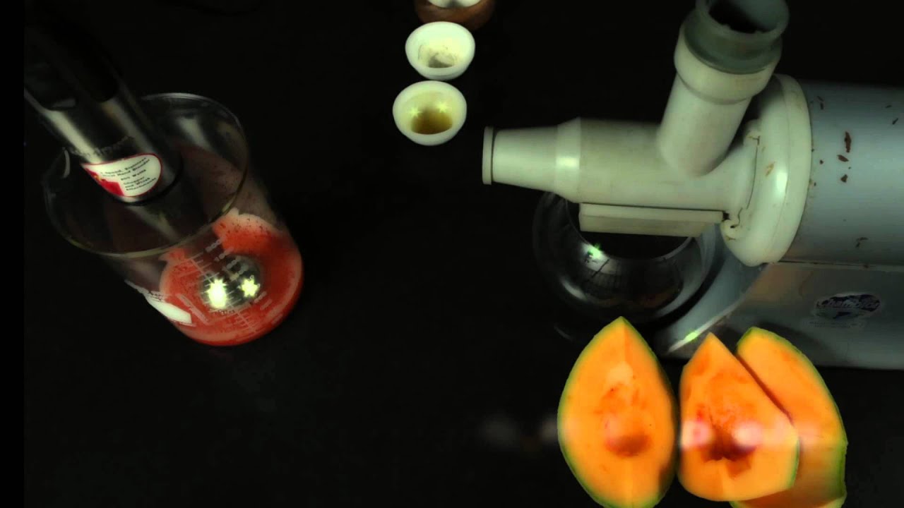 Chef Richard Farina's Prawn & Melon Stop Motion Dream - YouTube