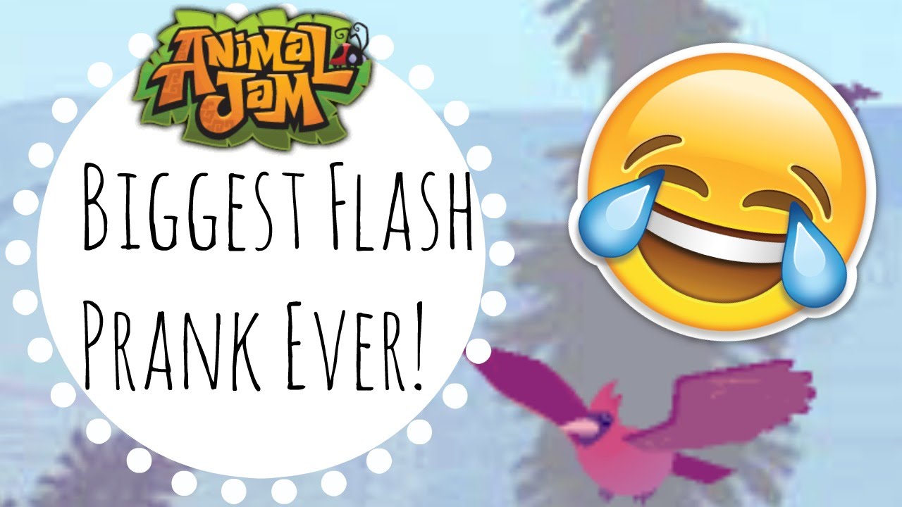 Animal Jam: BIGGEST FLASH PRANK EVER! - YouTube