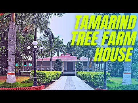 Tamarind Tree Farm house at Moinabad - YouTube