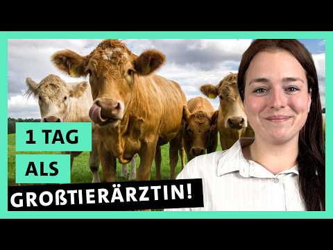 Großtierärztin im Dauereinsatz: Zwischen Kühen, Pferden und Ziegen | alpha Uni