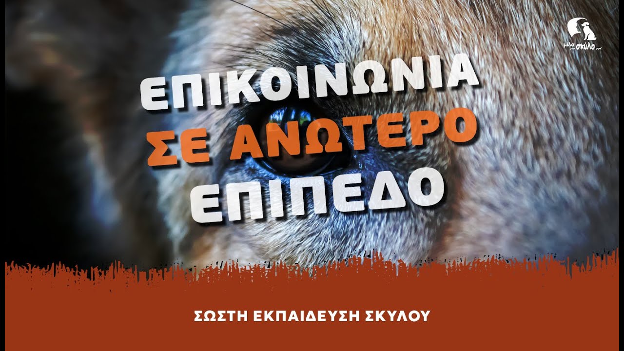 ΣΩΣΤΗ ΕΚΠΑΙΔΕΥΣΗ ΣΚΥΛΟΥ #14 - Επικοινωνία σε ανώτερο επίπεδο - ΜΙΛΑ ΣΤΟ ...