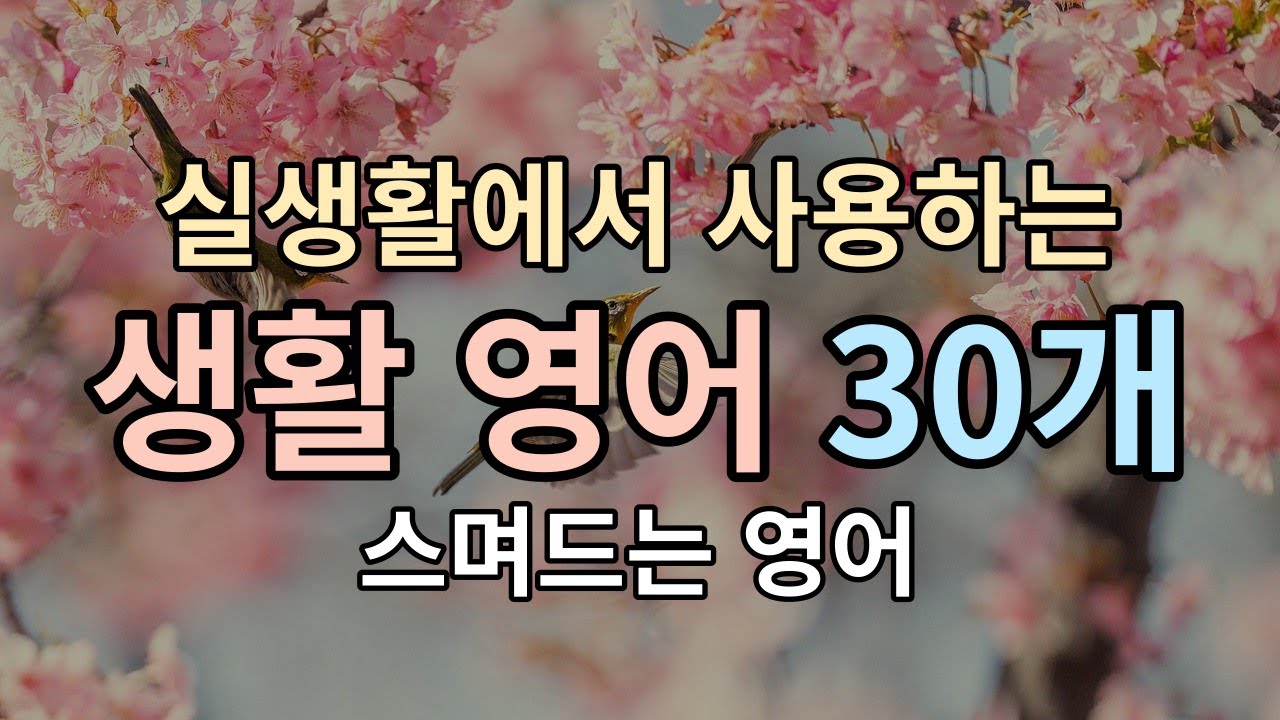 생활영어 실생활에서 자주 사용하는 영어문장 30개 영어 회화 영어 듣기 영어 독학 기초 영어 생활 영어