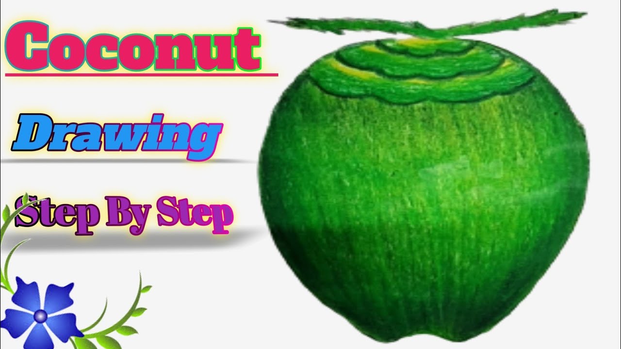 How To Draw Green Coconut Step By Step || Very Easy Coconut Drawing ...