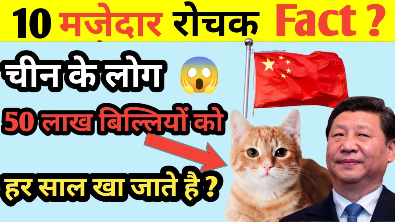 Chinese khana kaise khate hain | China ke log kya kya kehte hain | Most ...