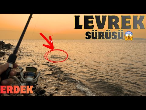 LEVREK AVI/üst üste LEVREK aldım (PEKİ BU LEVREK LERİ NEYLE TUTUYORUM? ) 