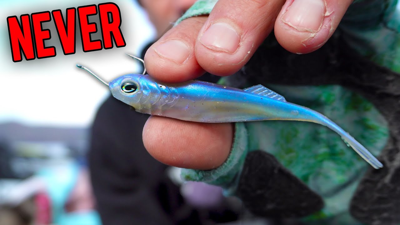 You'll NEVER Fish a small SWIMBAIT the same Again - YouTube