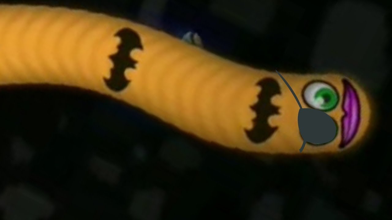 CACING LAPAR INI BERHASIL JEBAK CACING MONSTER ALASKA.. APA LANGSUNG ...