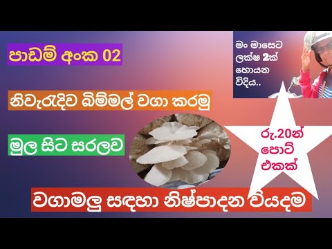 Mushroom Cultivation and Cost of Ingredients for 🍄 farming .#mushroom ...