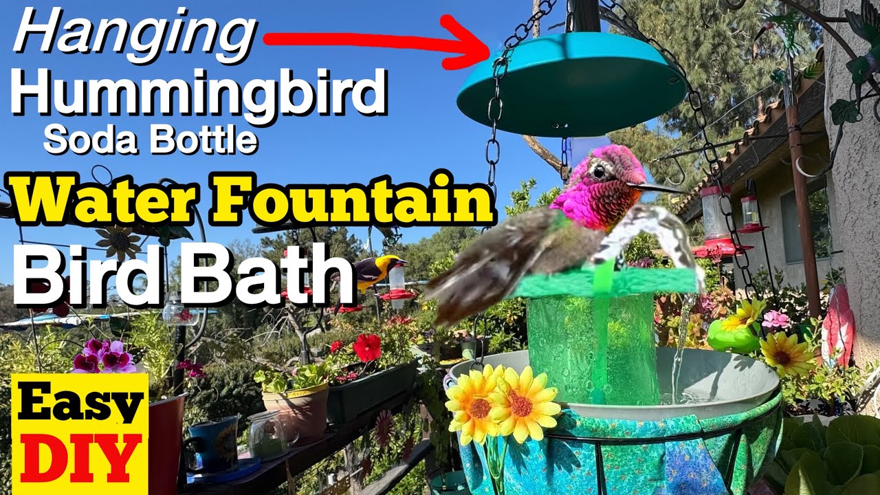 Hummingbird HANGING Fountain Attracts Hummingbirds How To Make Birdbath ...