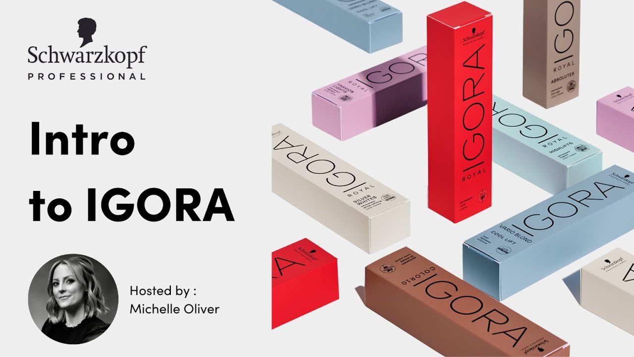 Intro to IGORA *EN* - YouTube