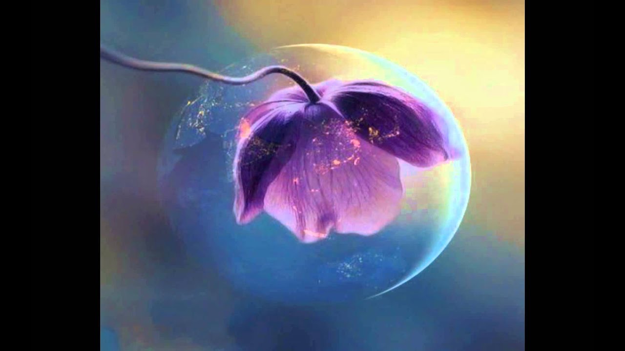 71) Regalos del Universo Gifts Universe - YouTube