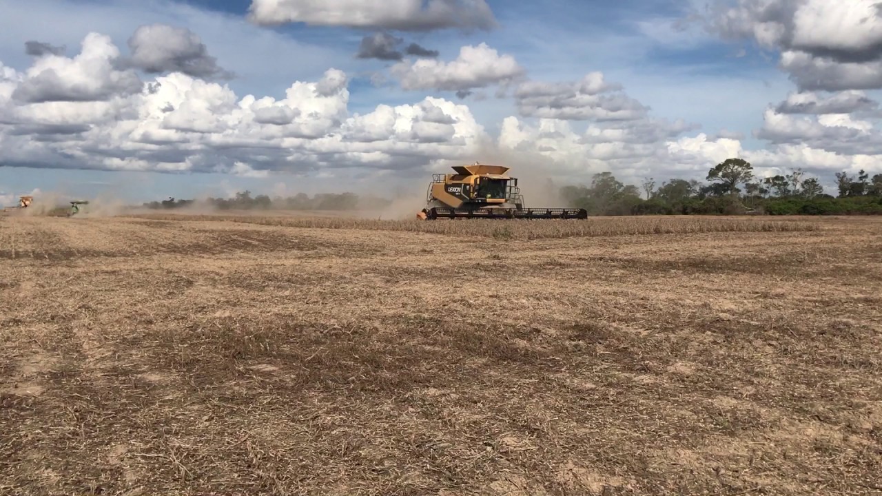 Cat Lexion 595R - YouTube