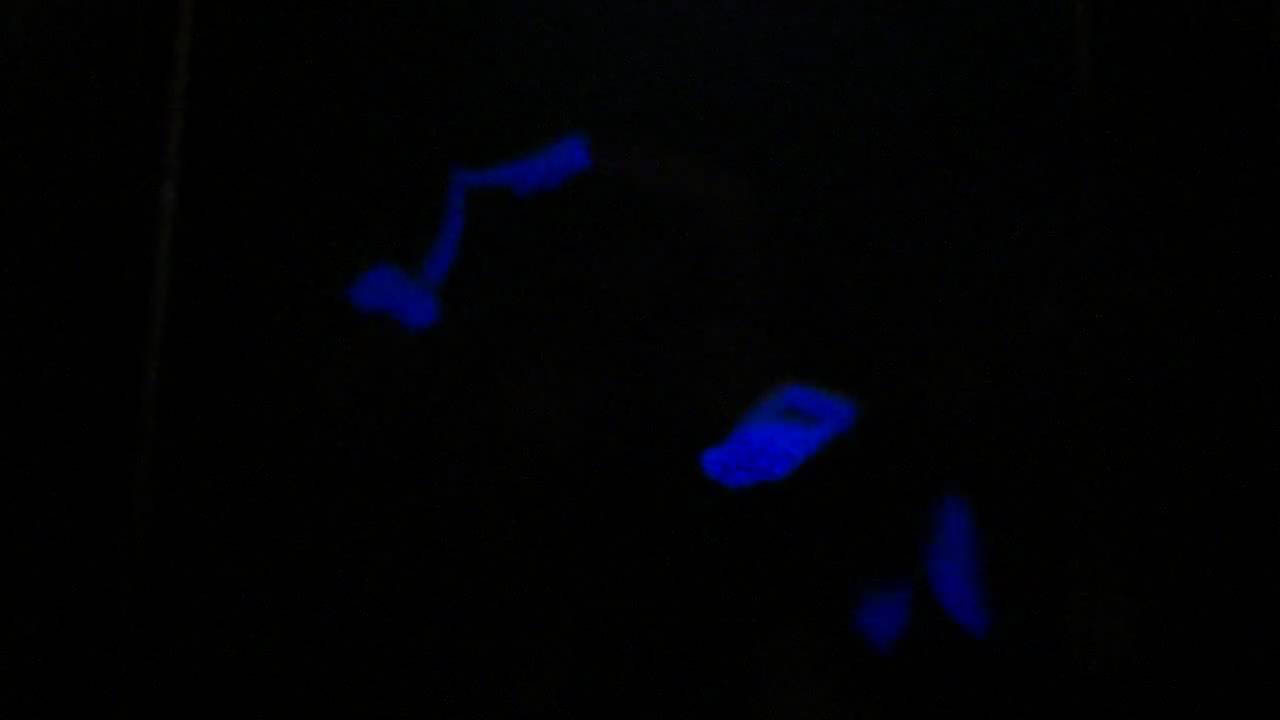 Hispanic Pathfinders 2010 Camp Yavapines - Tucson Khronos Talents - YouTube