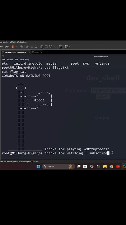 Day 35/90 making 1000 subscribers | Hacking CTF machine | got web shell and gained privilege esc ...