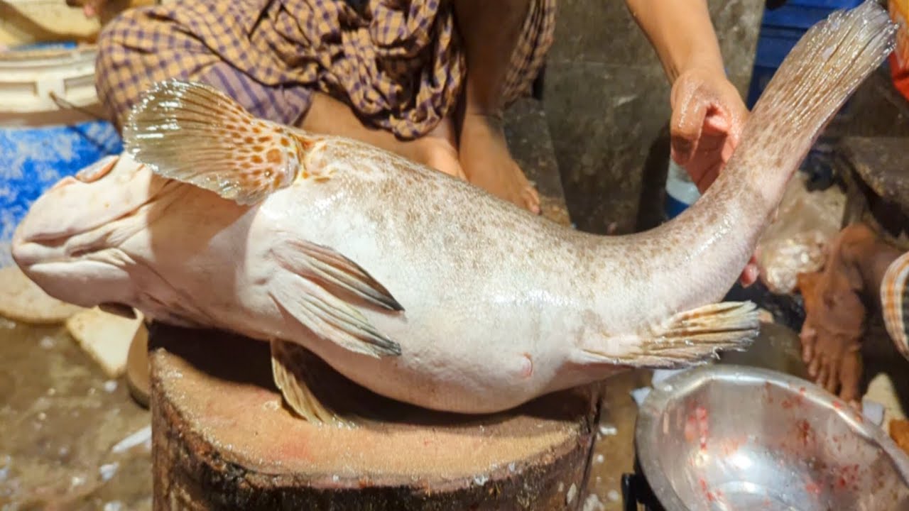 Amazing Giant Hamour Fish Cutting Skills In Bangladesh Fish Market By ...