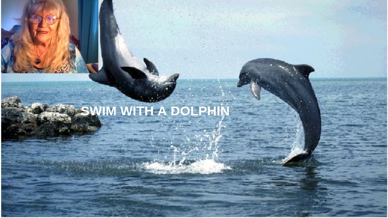 Swim with a Dolphin Meditation - YouTube